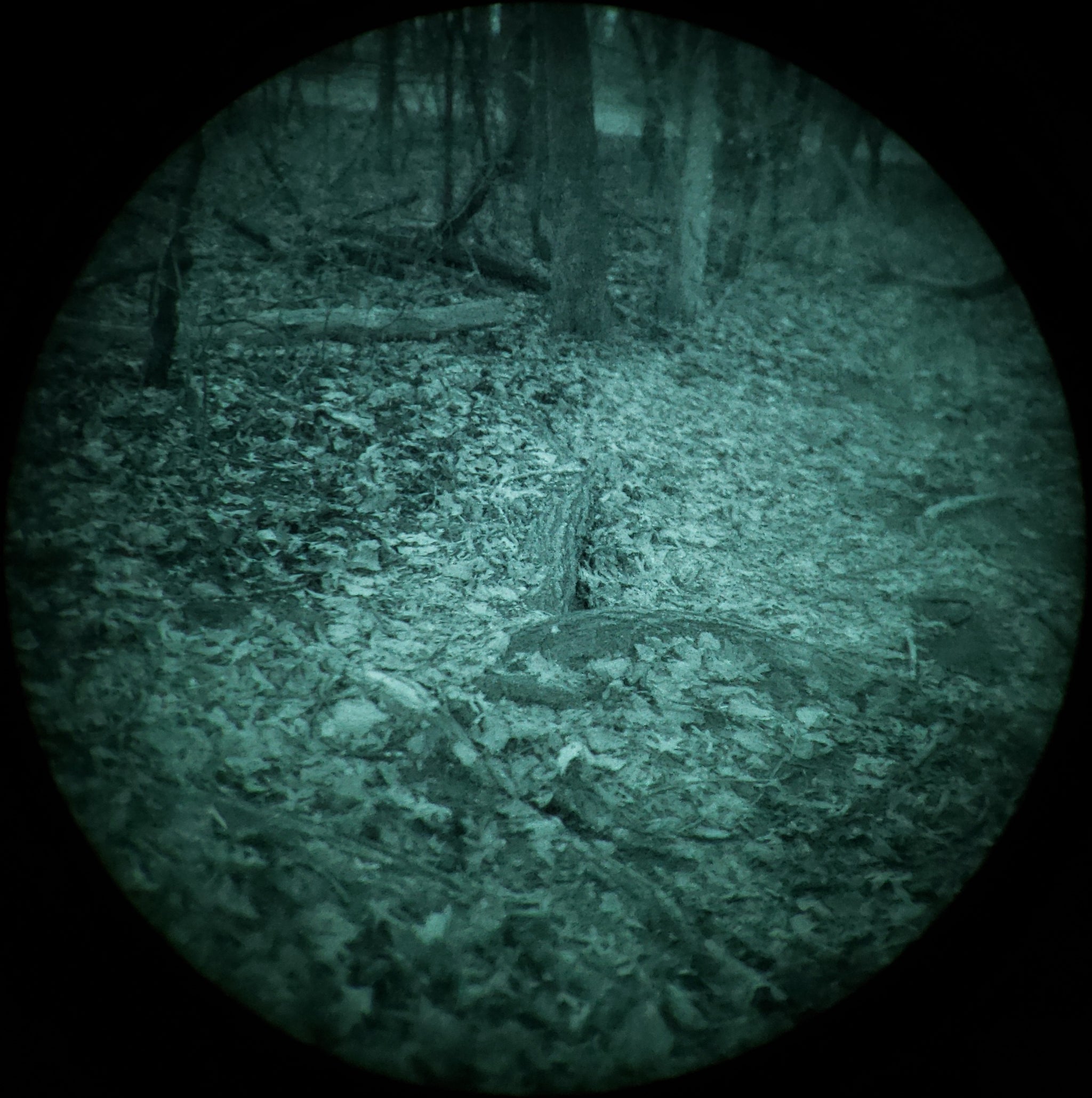 Standard night fighter kit – nicksnightvision