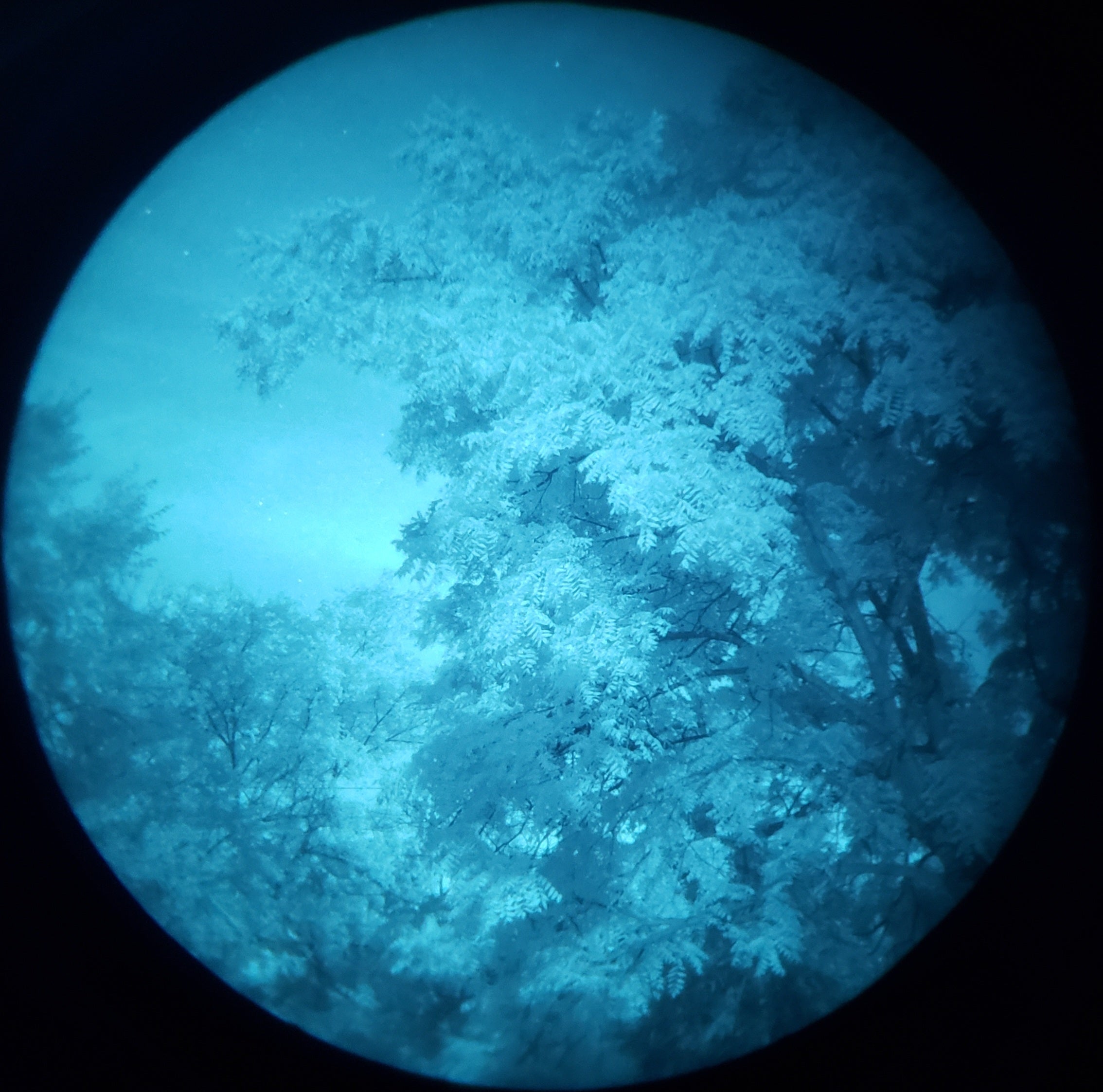 MH-1 Elbit PH (Higher spec) – nicksnightvision