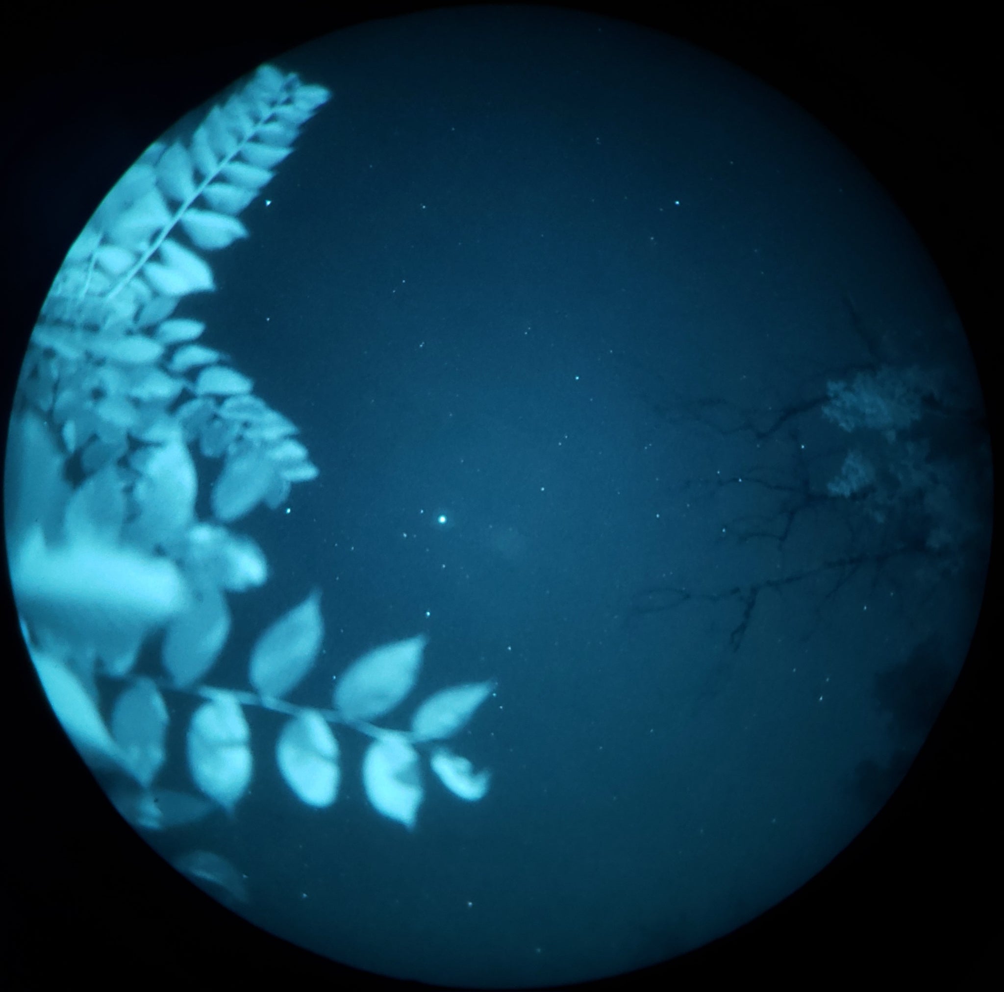 Standard night fighter kit – nicksnightvision