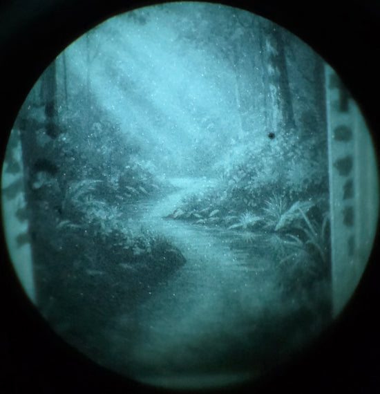 Aeon Night Vision Binocular Elbit grade B) – nicksnightvision
