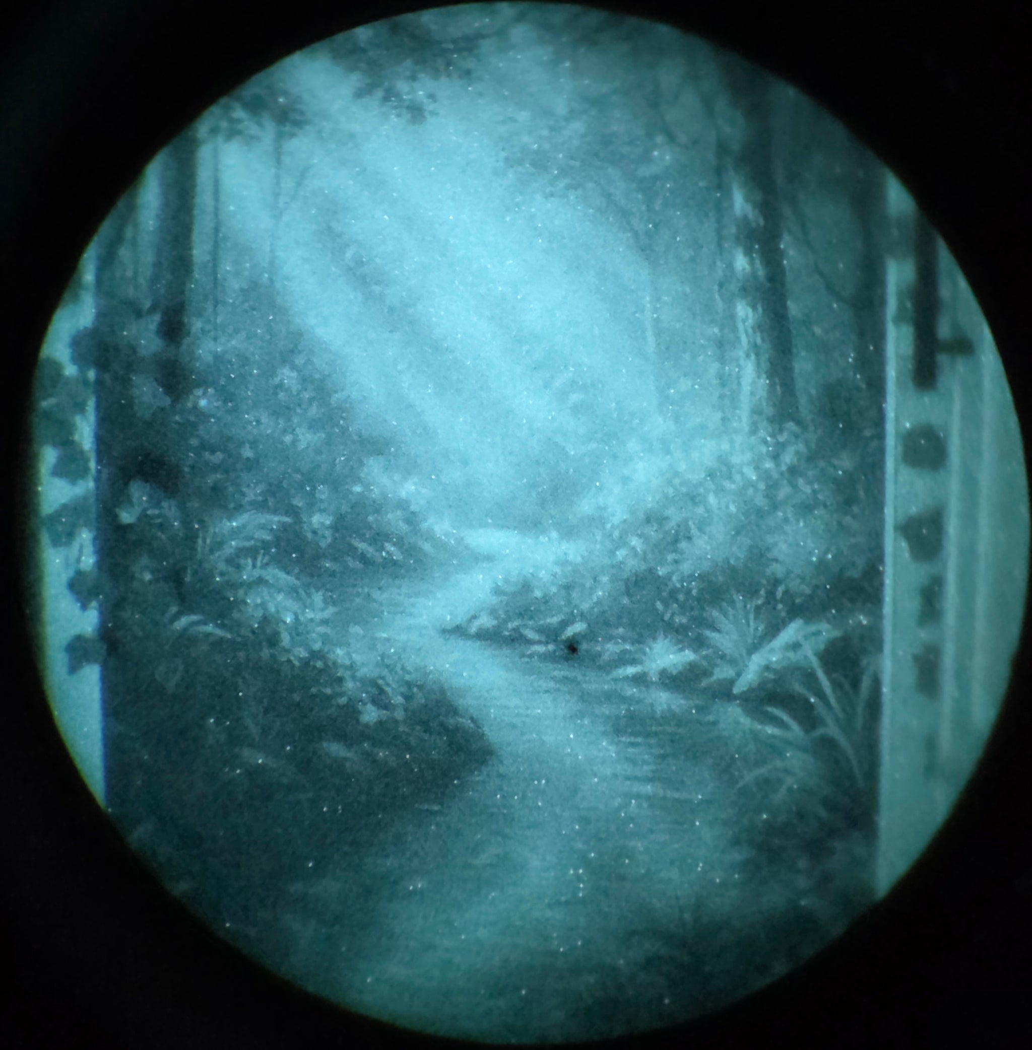 Aeon Night Vision Binocular Elbit grade B) – nicksnightvision